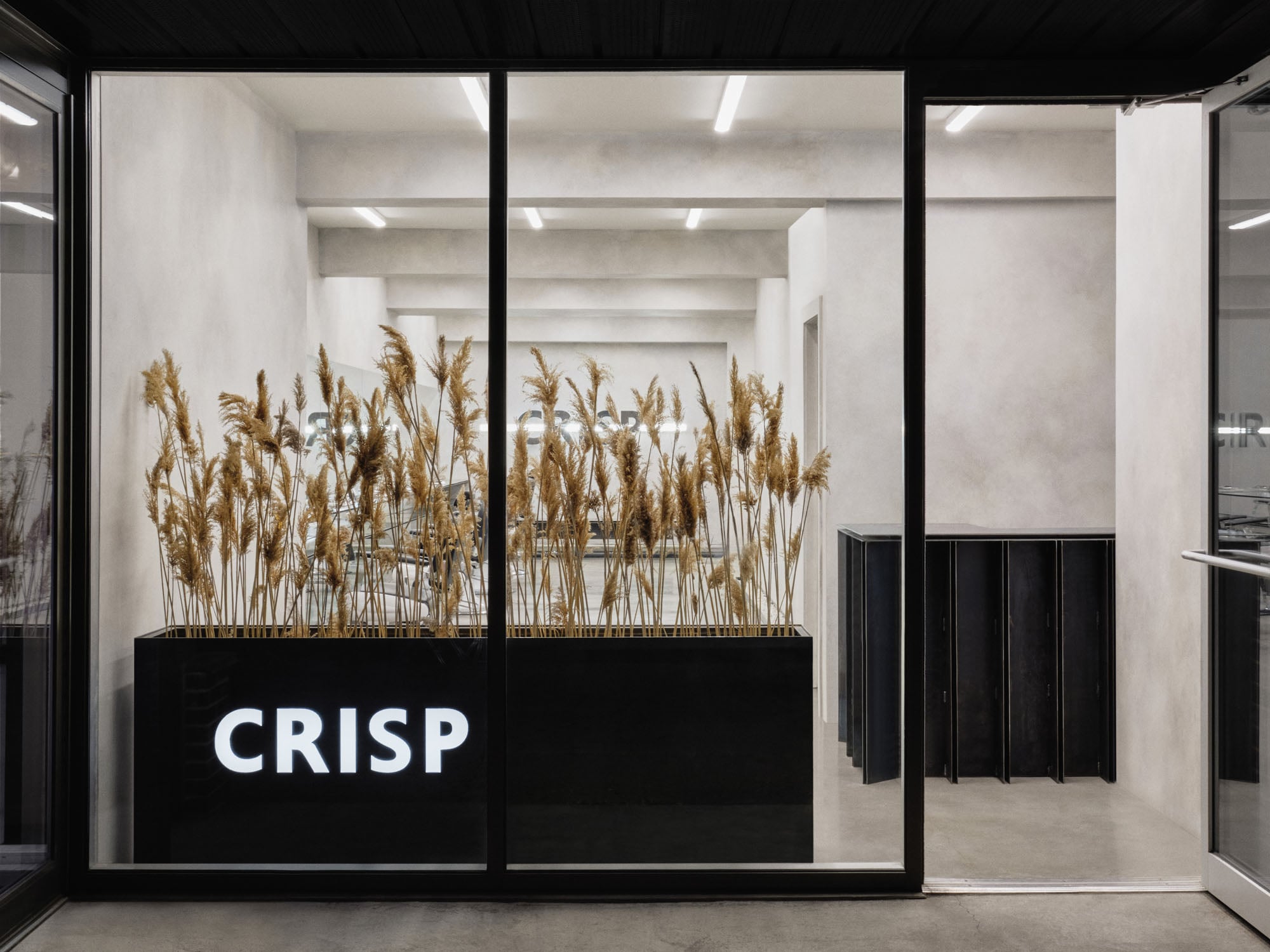 Canadian Design Firm Ivy Studio Is Revolutionizing Contract Interiors ...