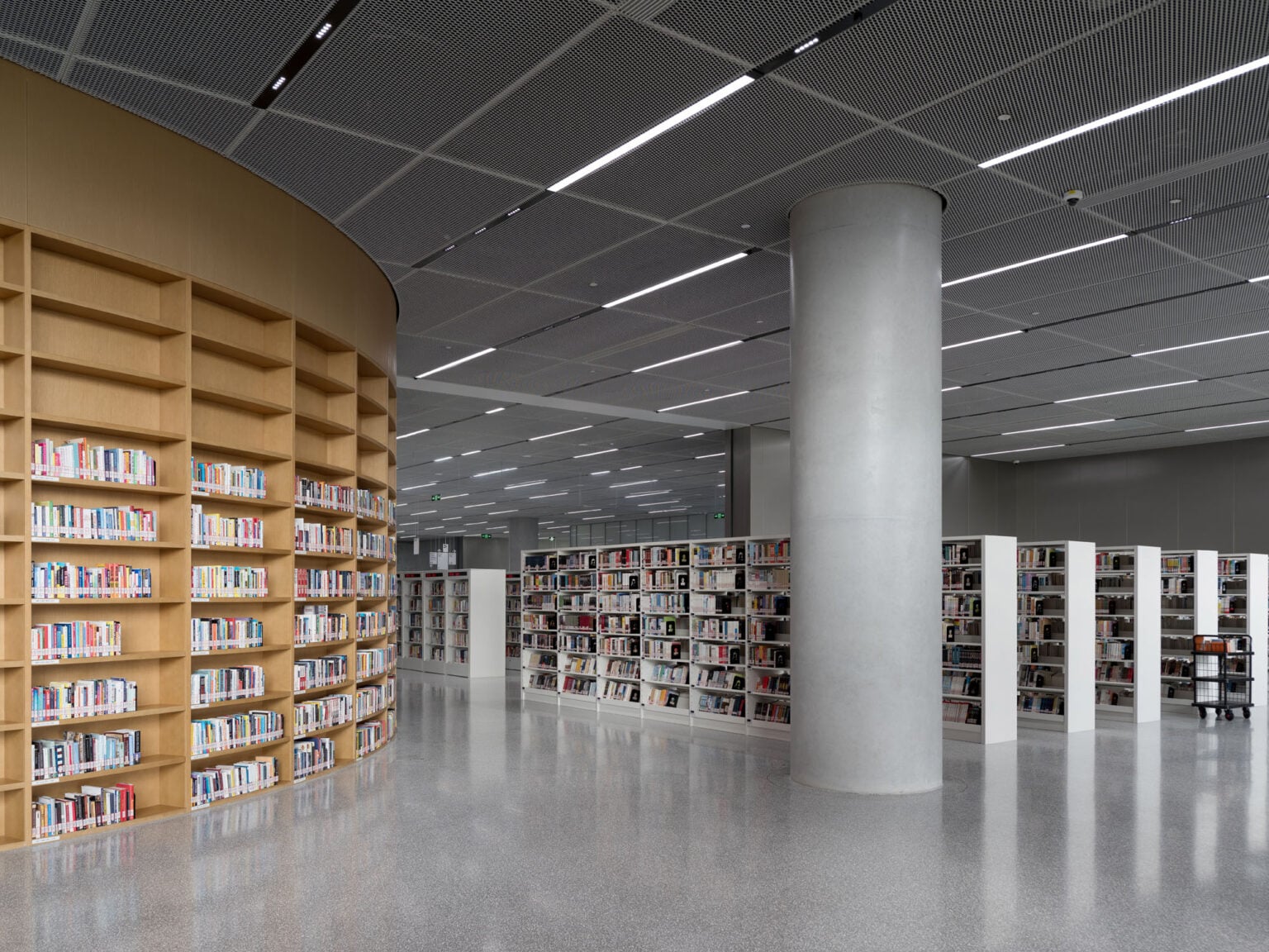 Shanghai East Library Takes Cues from Chinese Scholar’s Rocks