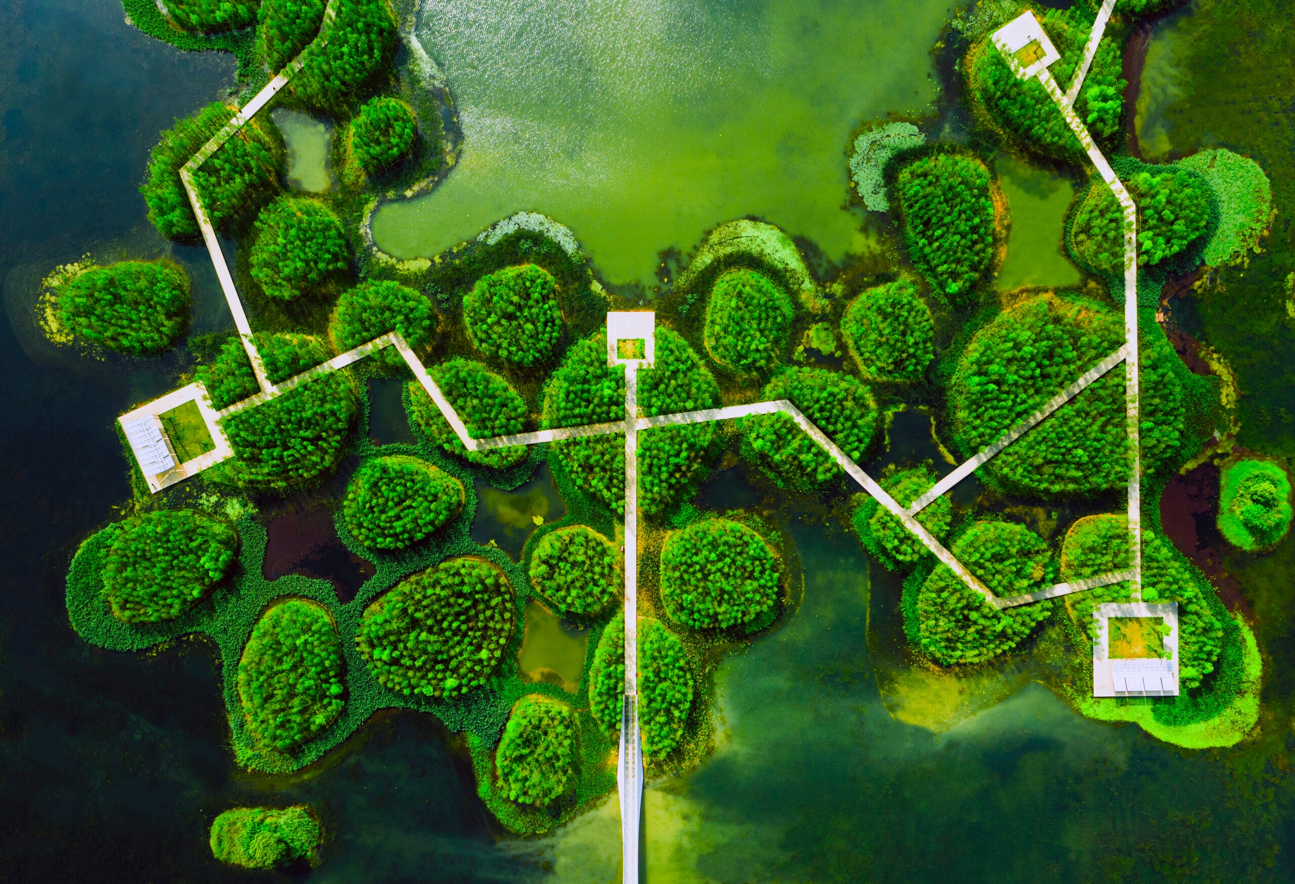 For Kongjian Yu, Landscape Architecture is the “Art of Survival ...