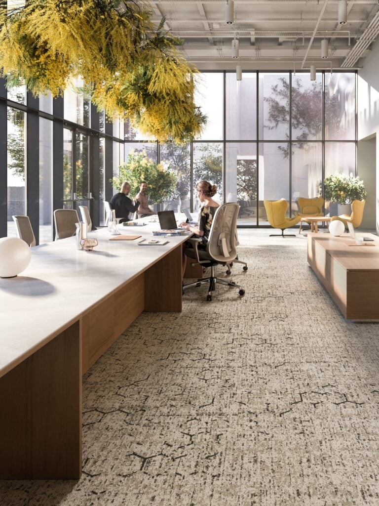 Mohawk Group - Metropolis