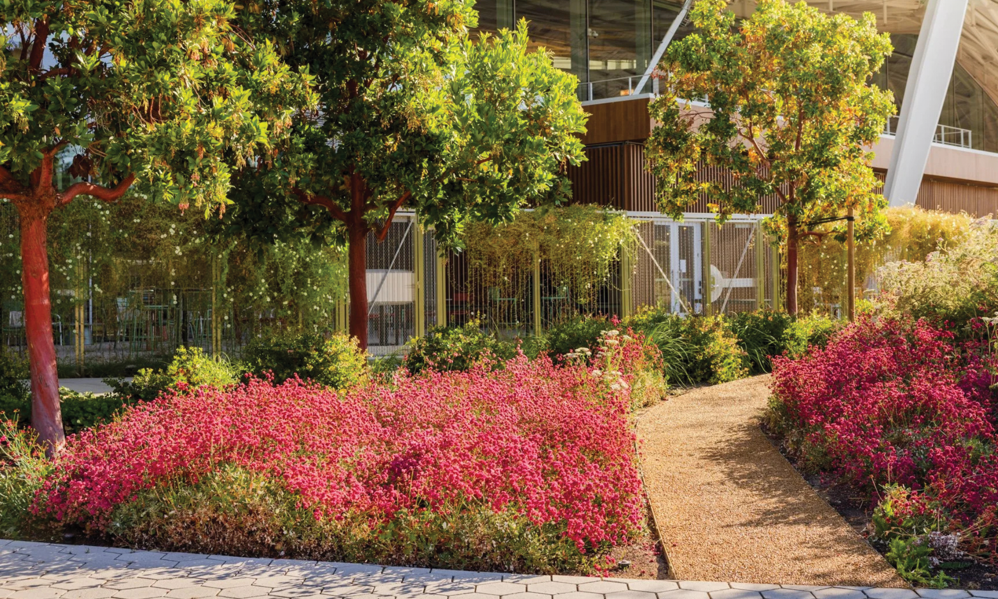 The Power of Biophilia: Designing Buildings That Heal People and the ...